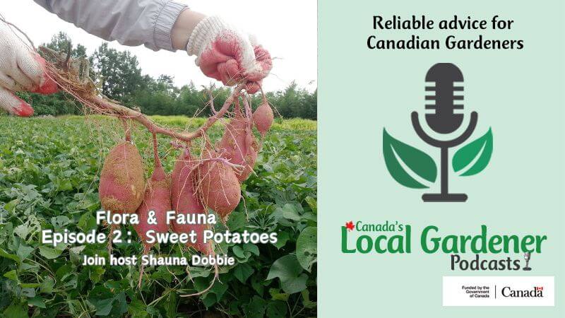Flora & Fauna Podcast - Canada's Local Gardener magazine