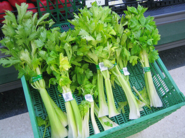 10 Neat Things About Celery - Canada's Local Gardener magazine