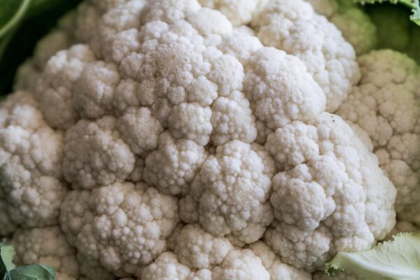 10 neat things about cauliflower - Canada's Local Gardener magazine
