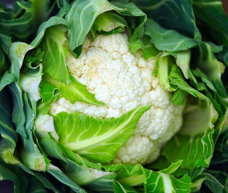 10 neat things about cauliflower - Canada's Local Gardener magazine