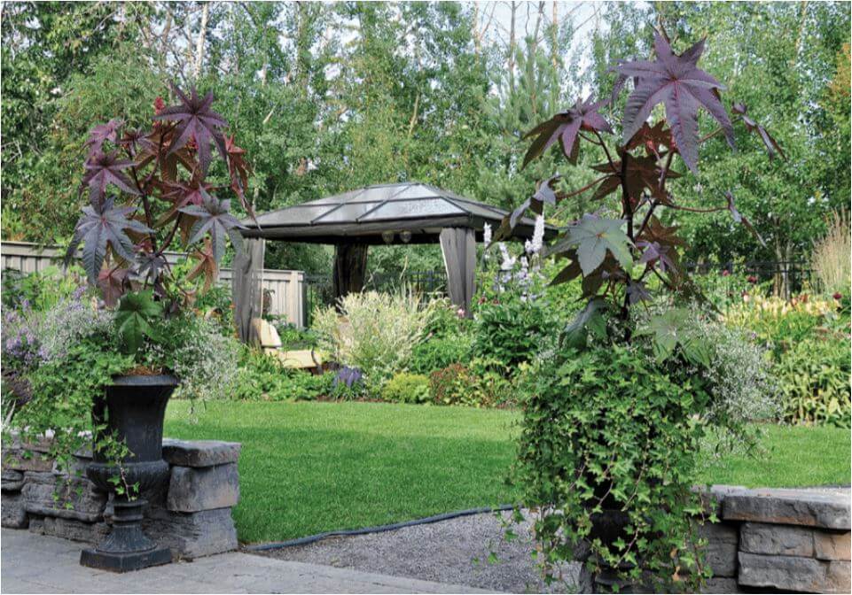 Garden of Happiness for Kevin Napora and Rob Pelletier - Canada's Local ...