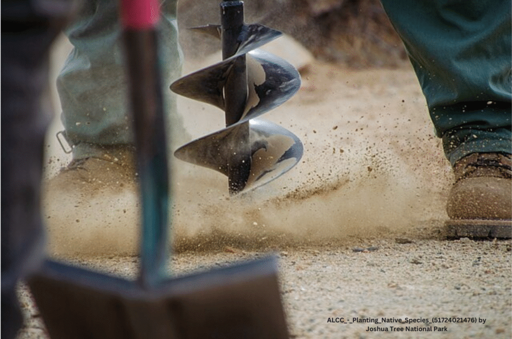 Get digging! 10 neat things about planting tools - Canada's Local ...